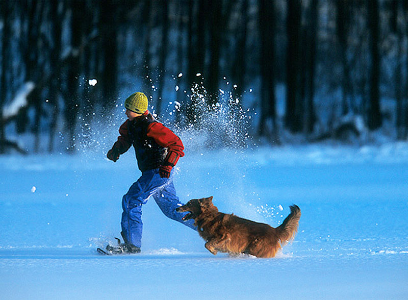 Skiing & Snowshoeing in the Big Hickory